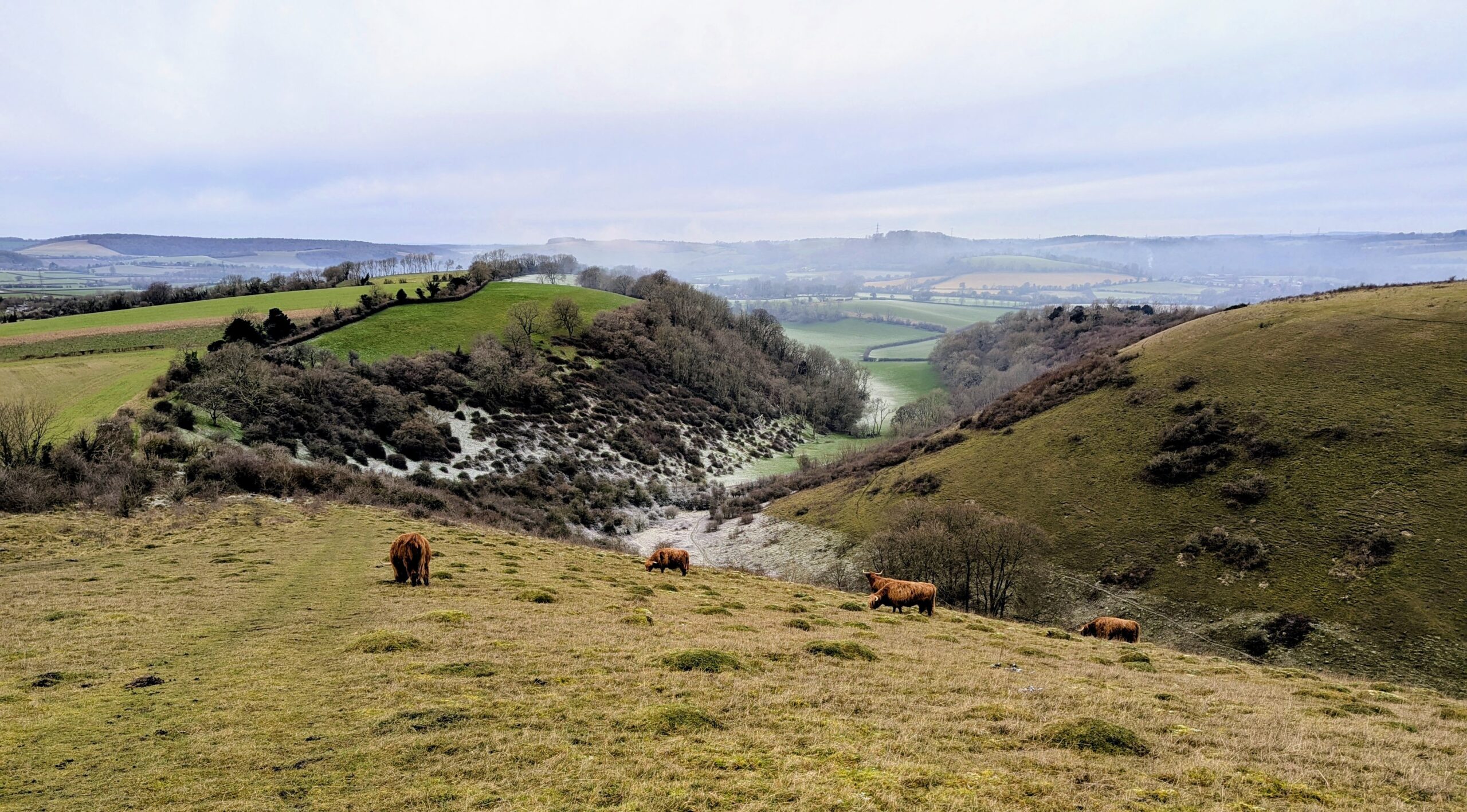 Permitted Development vs Planning Permission: What You Need to Know for ...